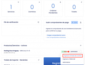 ¿Cómo ingresar al panel de control de mi hosting? - Netuy® | Crecé en ...